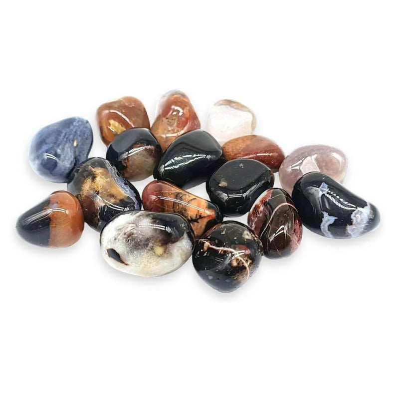 Sardonice - Tutti i prodotti – TENET